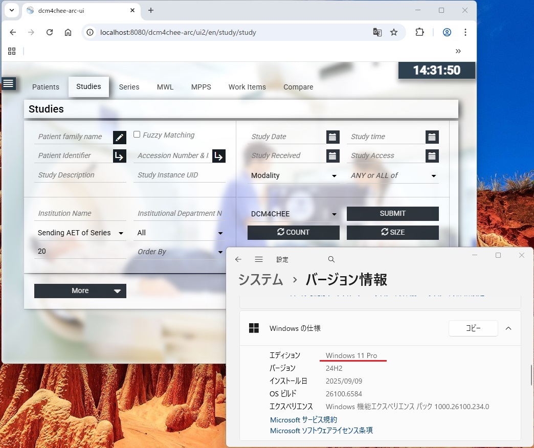 dcm4chee-arc-light on Windows | システムクラフト